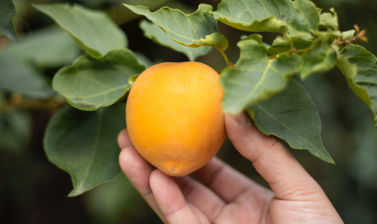 Health and Wellness | Casa Serena | Women's Treatment Center